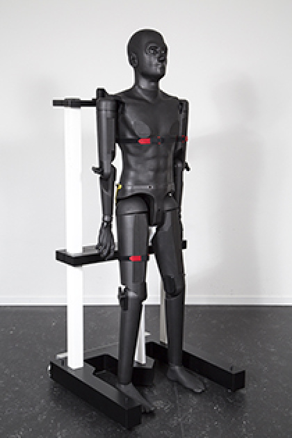 STAND-P10 » SPEAG, Schmid & Partner Engineering AG